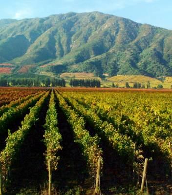 The Best of Chile's Central Valley tour with local guides | UPSCAPE